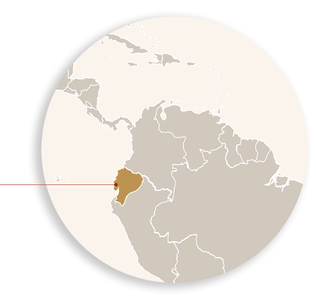 Ecuador 85% – Hogarth Chocolate